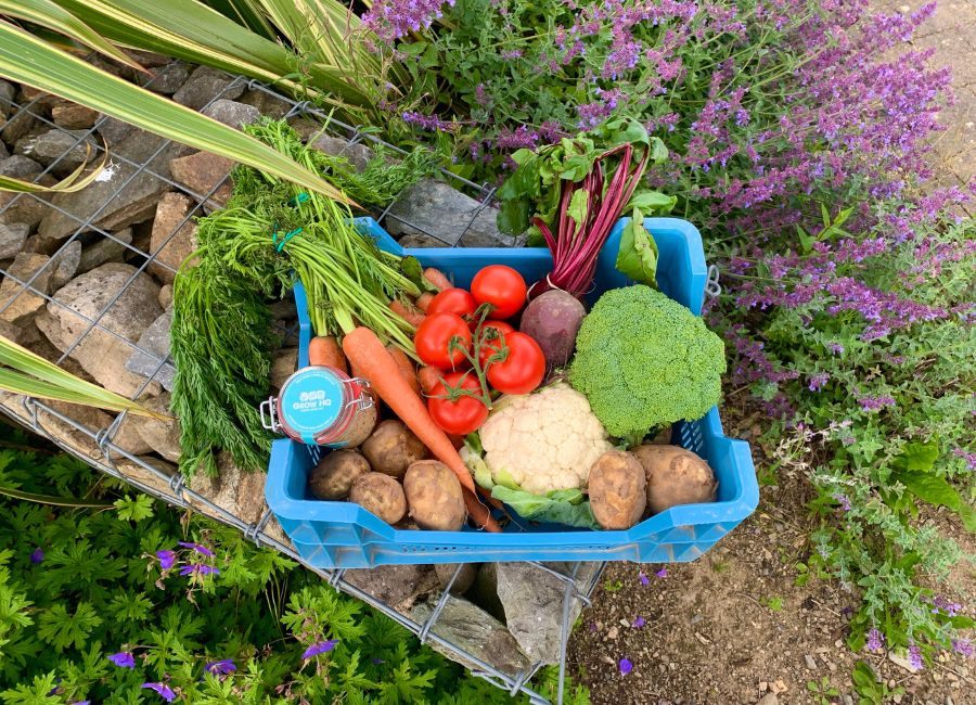 Coming Soon: New GROW HQ Veg Box Drop Sites