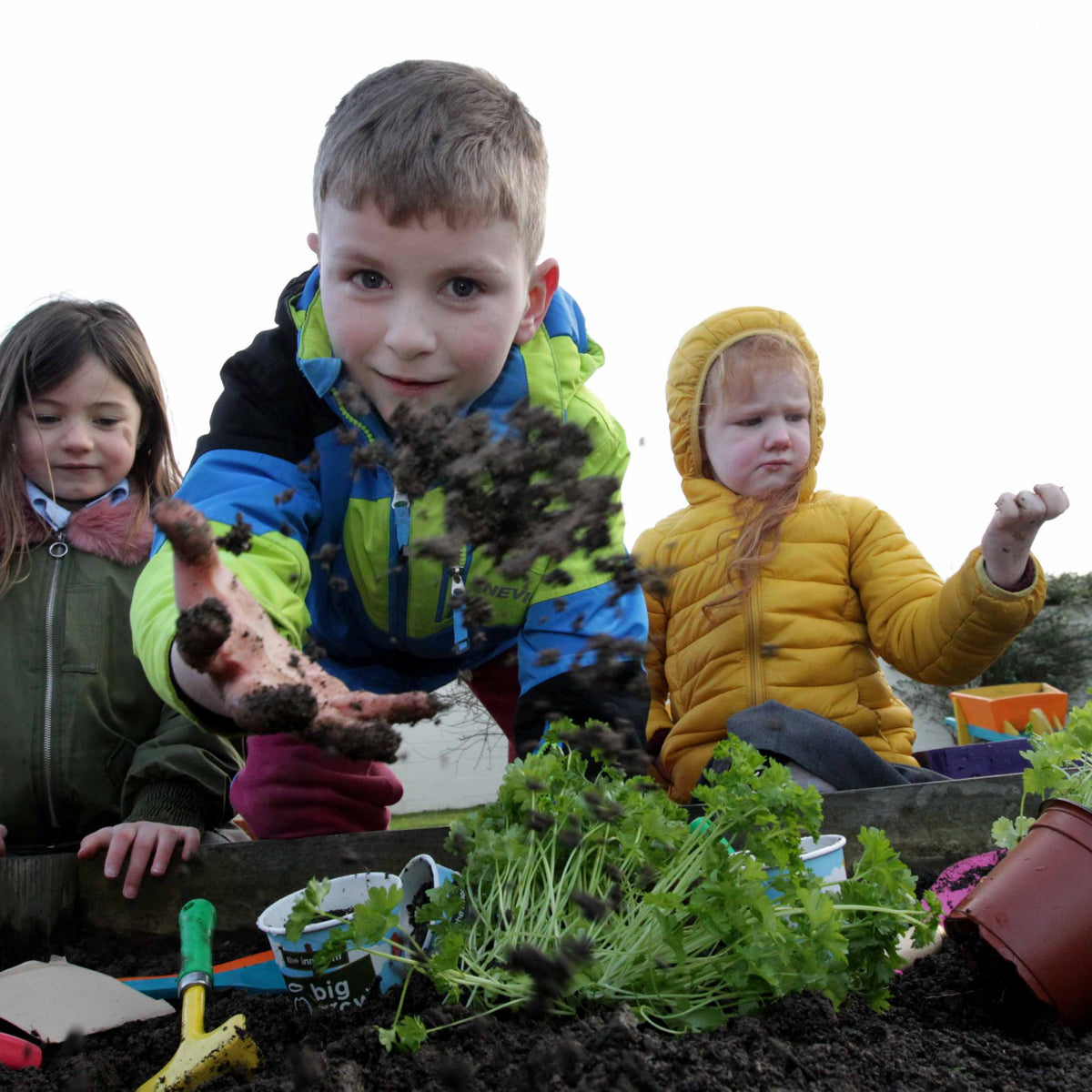 GIY Needs You: GIY Calls on Supporters to Back €1 Million Ambition for ...