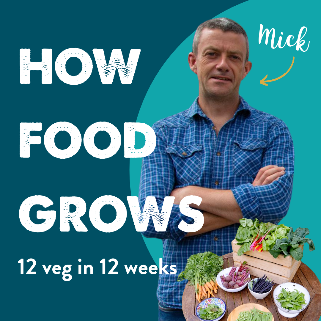 Online Grow It Yourself Courses – GROW HQ