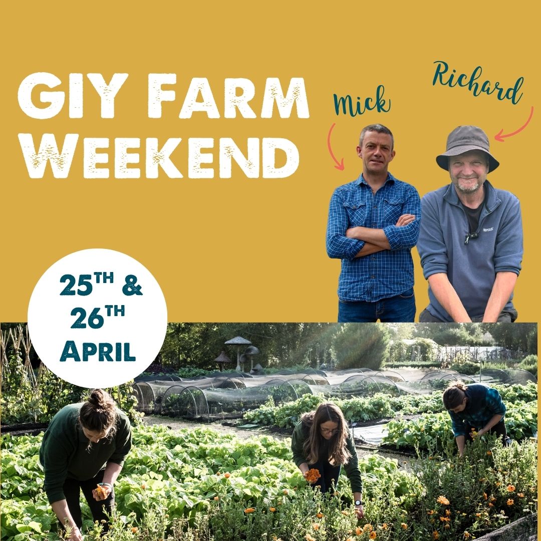GIY Beginner Skills and Farm Weekend with Mick Kelly & Richard Mee- 25 ...