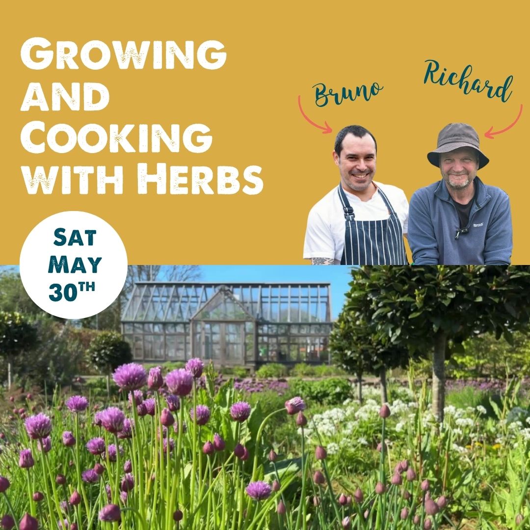 Growing and Cooking with Herbs - Sat 30th May – GROW HQ