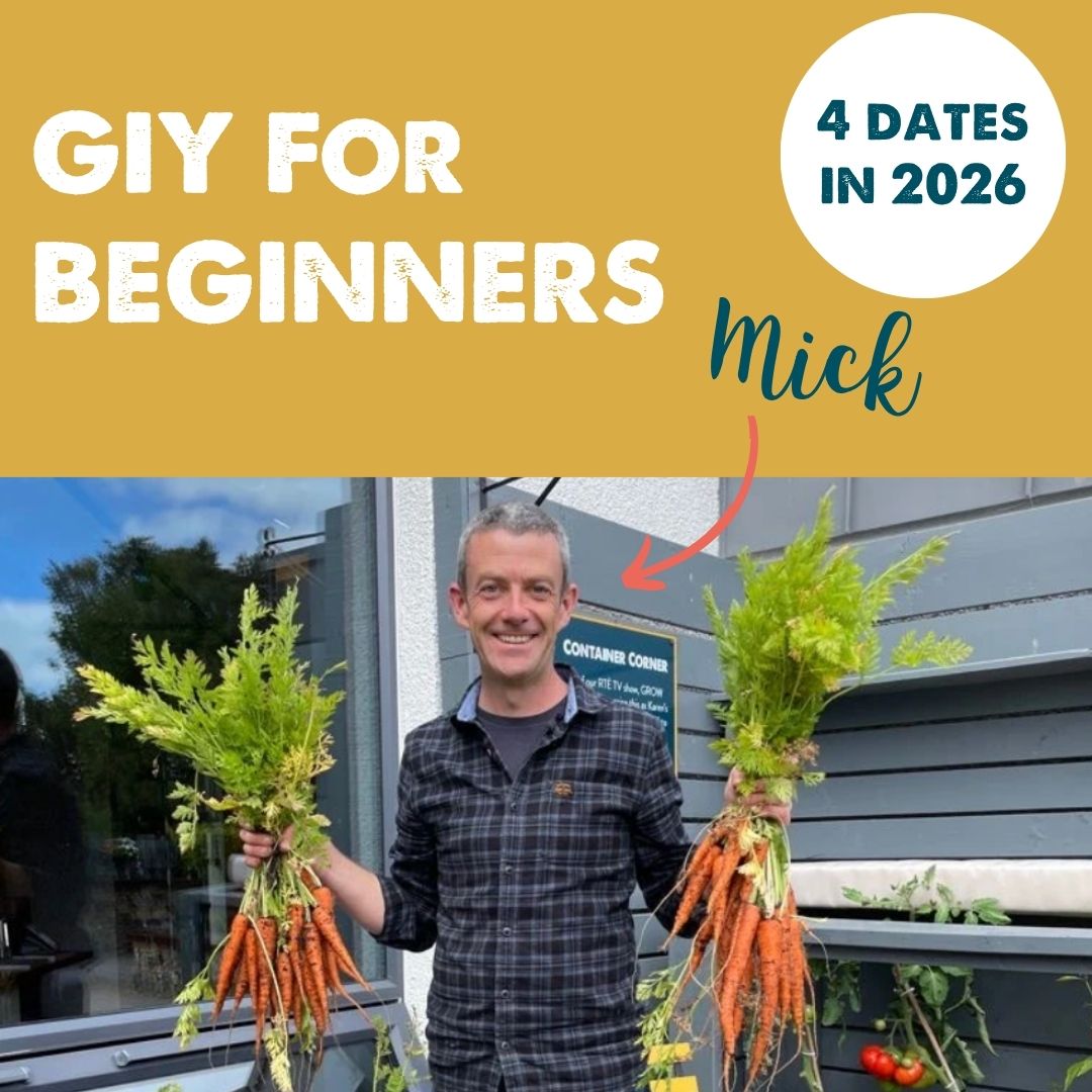 GIY For Beginners, With Mick Kelly – GROW HQ