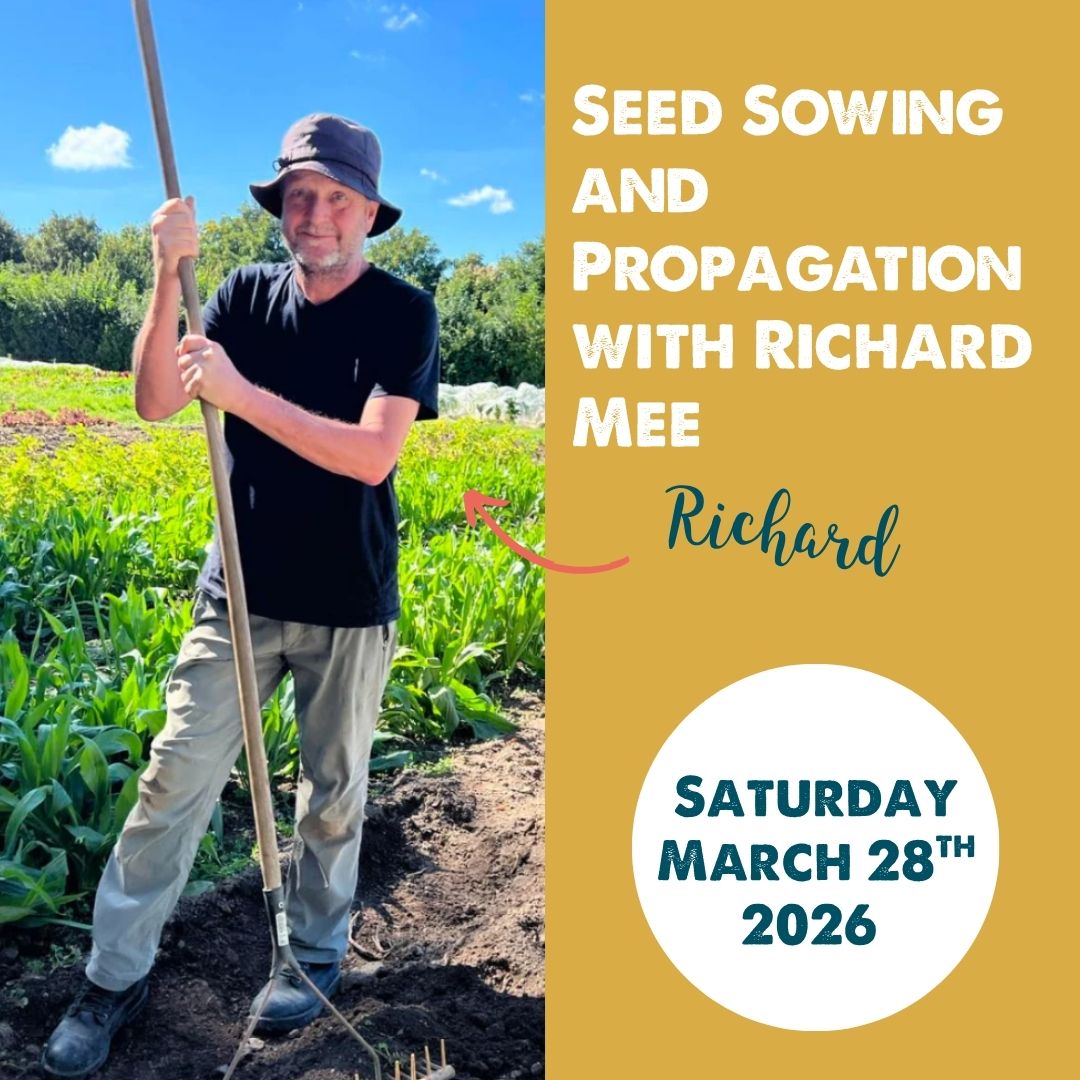 Learn Seed Sowing & Propagation – GROW HQ