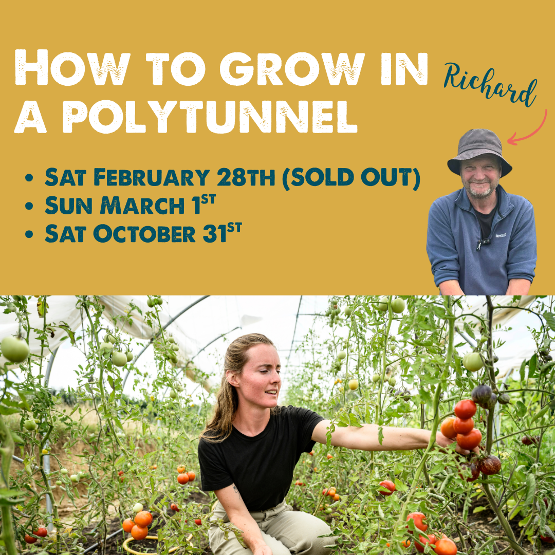How to Grow in a Polytunnel with Richard - Sat 31st October – GROW HQ