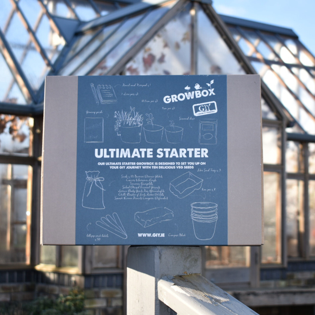 Ultimate Starter GROWBox – GROW HQ