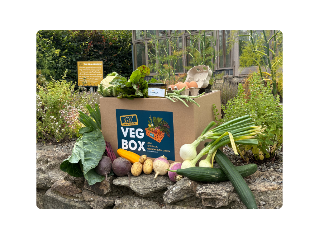 GIY Organic Veg Box – GROW HQ