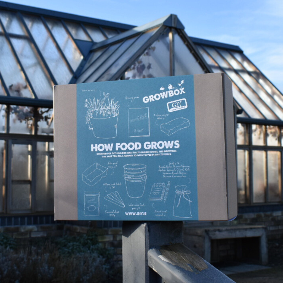 How Food Grows GROWBox – GROW HQ
